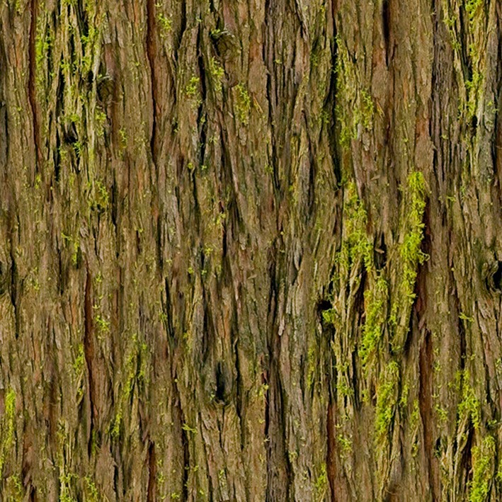 simo-3d.blogspot.com: TEXTURE SEAMLESS - CORTECCIA