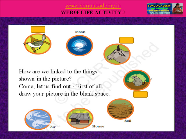 SONU ACADEMY: WEB OF LIFE - ACTIVITY