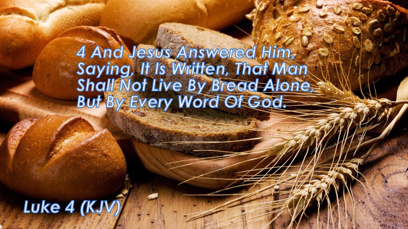 Red Pill Diaries Luke 4 KJV 