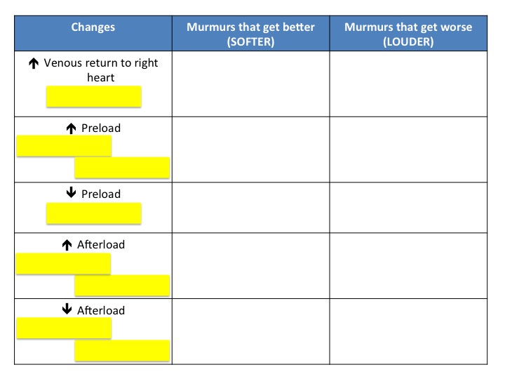 Things for the Board: Heart Murmurs Review Things for the Board: Heart Murmurs Review