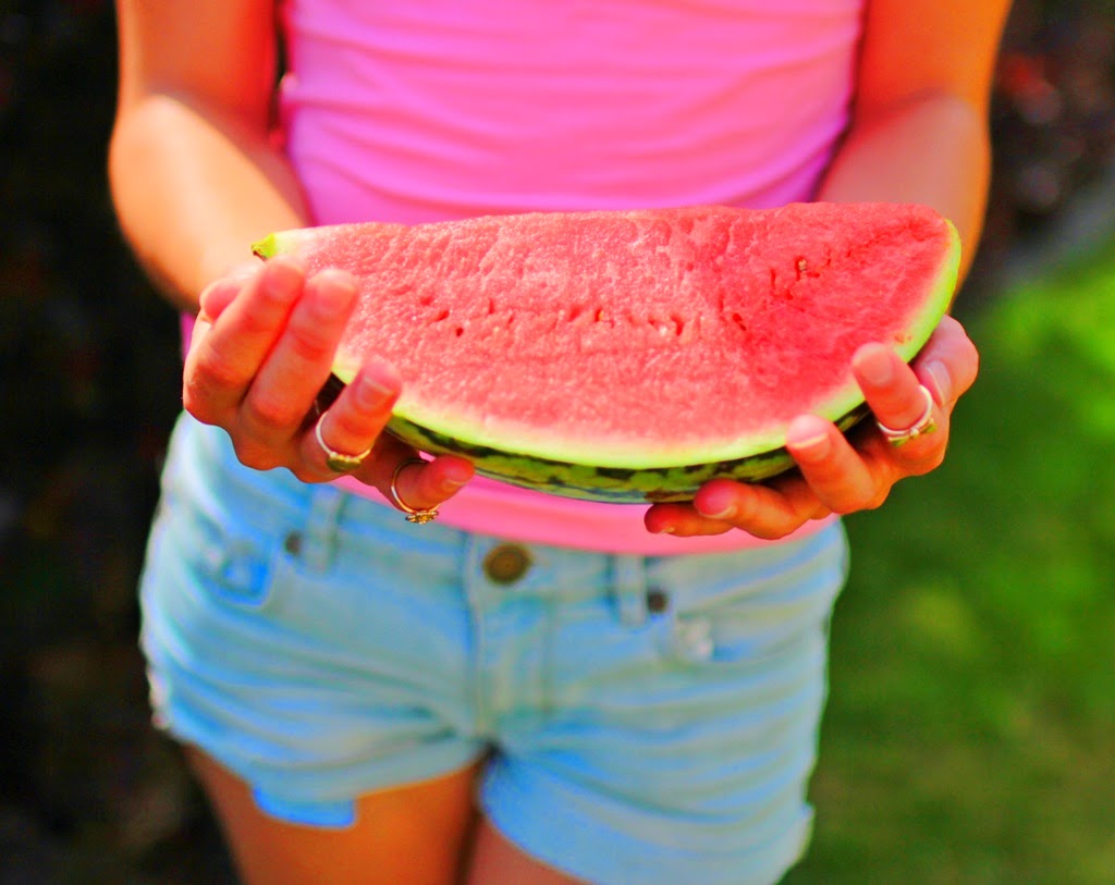 Fetching: Things to do in the Summer