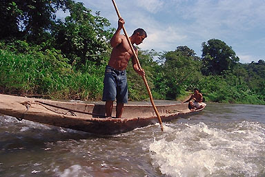 Brassavola Digbyana: Los Tawahkas