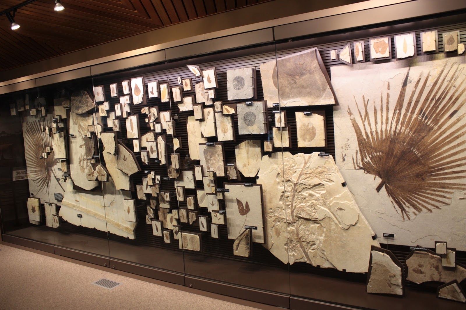 The Geology P.A.G.E.: Geology of the National Parks in Pictures ...