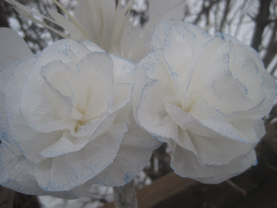 Angela N Harris: Blue Tipped Roses