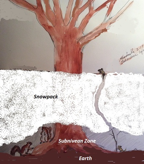 Trainride Of The Enigmas: Subnivean Sermon