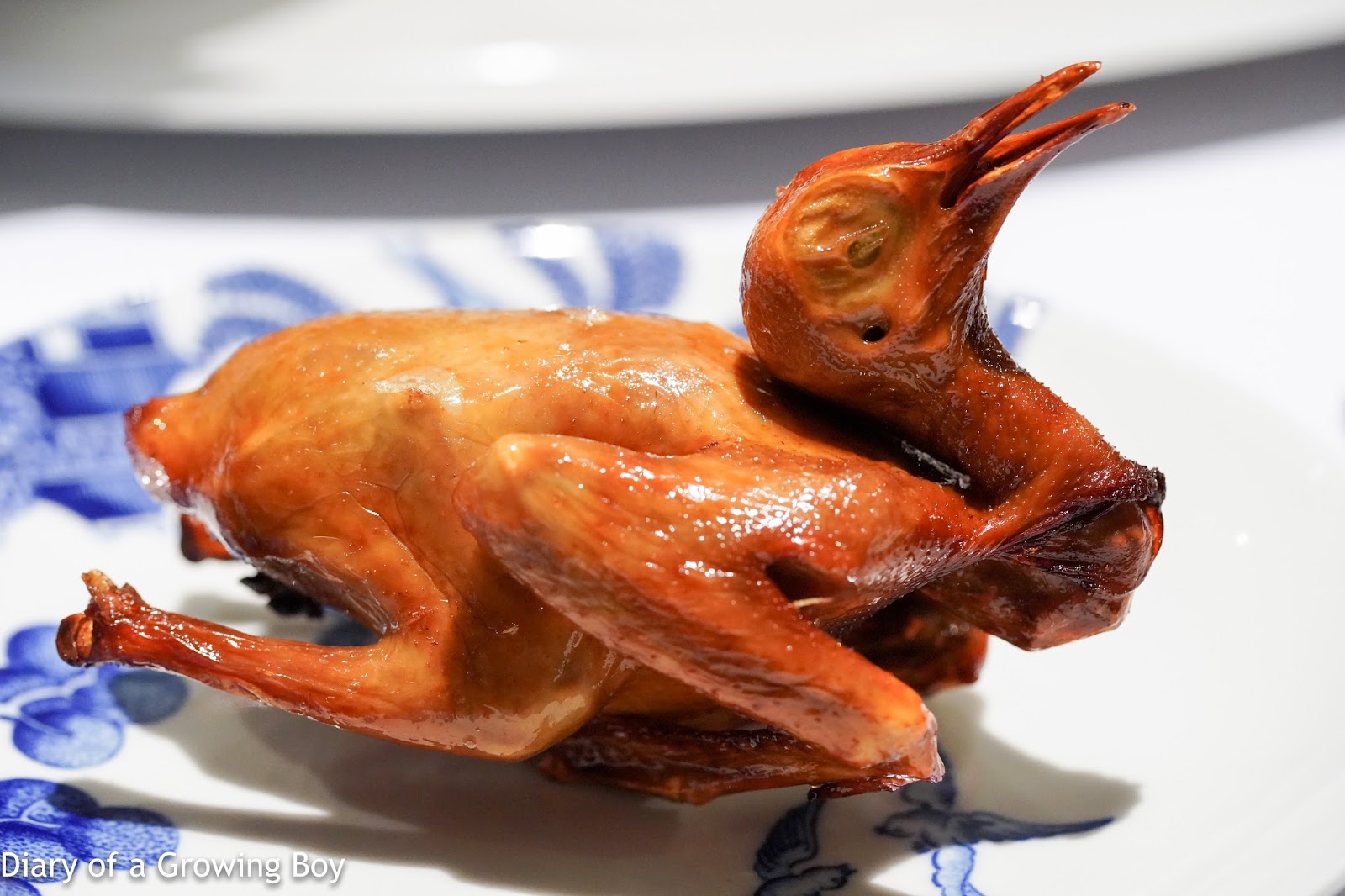 吃喝玩樂 - Diary of a Growing Boy: The best (Cantonese) pigeon in Hong Kong