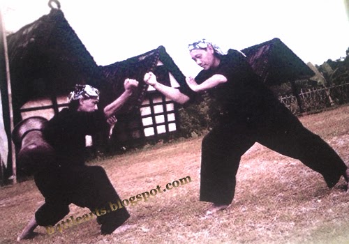 Pencak Silat Martial Arts: 4 Main Aspects In Pencak Silat
