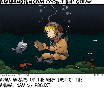 Joy In The Rain: Reverendfun Cartoons!...