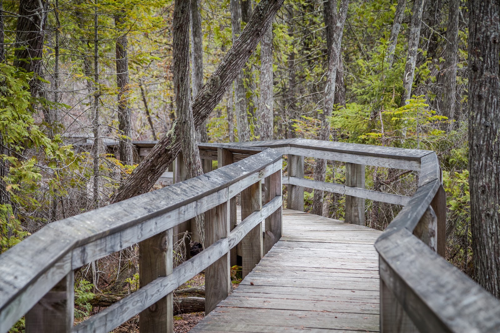 6 Best Things To Do At Pictured Rocks National Lakeshore - Explore the ...