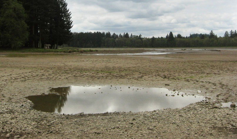 Roslyn Lake, Bull Run, Marmot Dam History