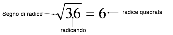 Matematica scuola secondaria 1° grado: La radice quadrata