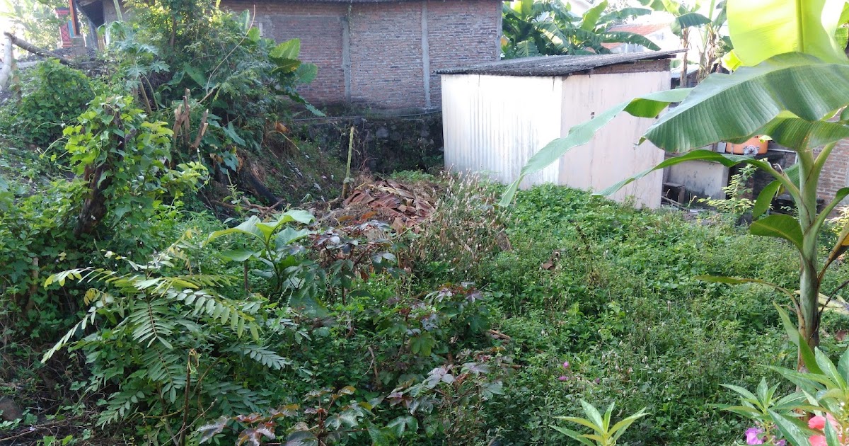 Dewan Kemakmuran Masjid Al Falah RW 36 Mojosongo Jebres: PROGRAM ...