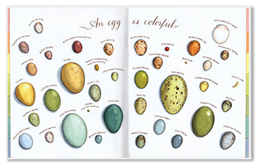 The Ideal Book: Eggs