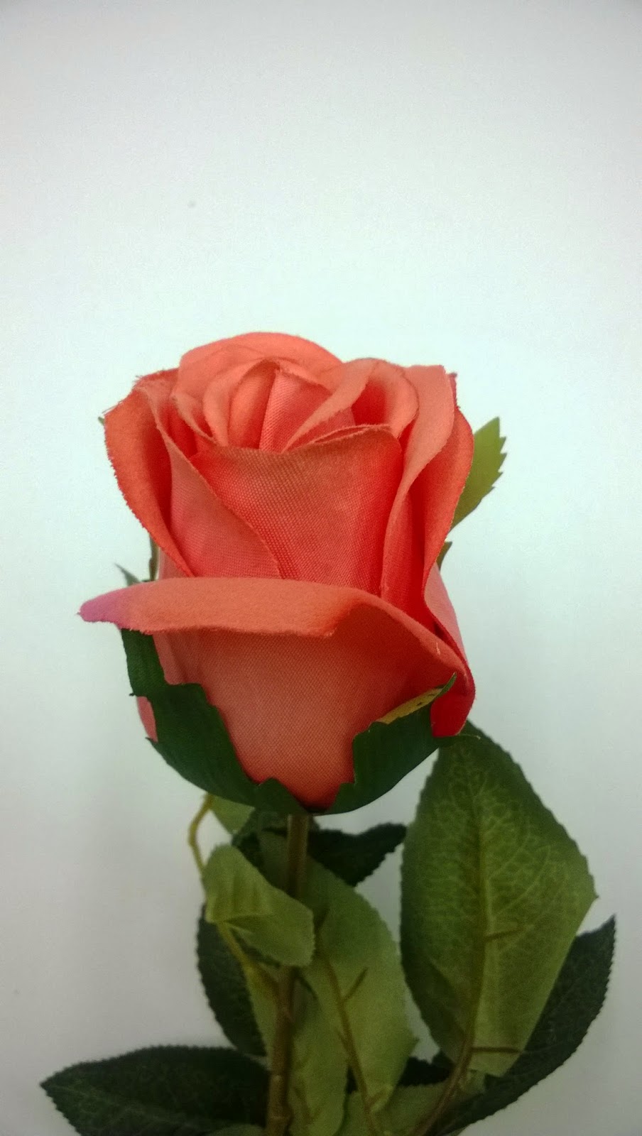 Rosa en boton X1 (H01203) | Pruebas