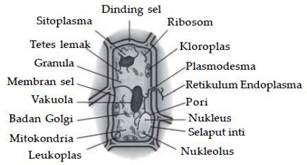 fathurrahman: Februari 2013