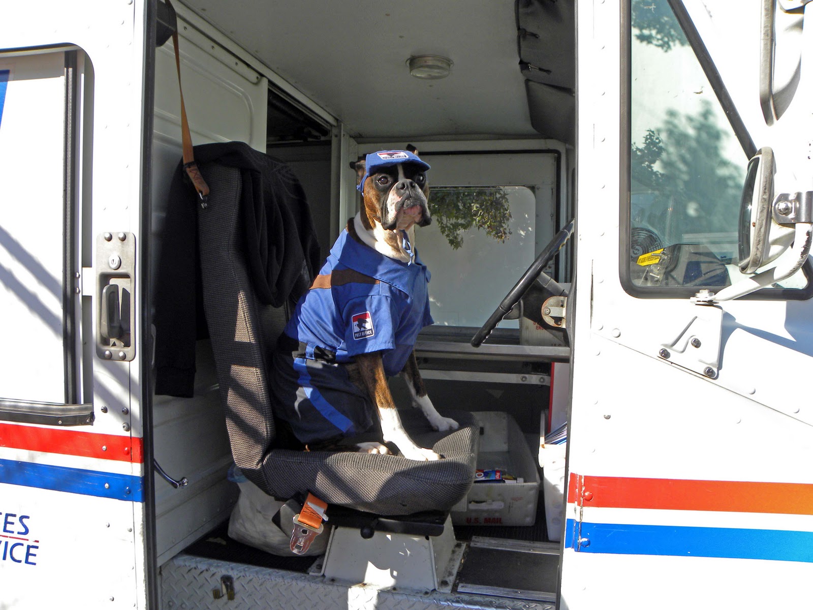 Newman's Notes: Neither rain nor hail nor sleet ...