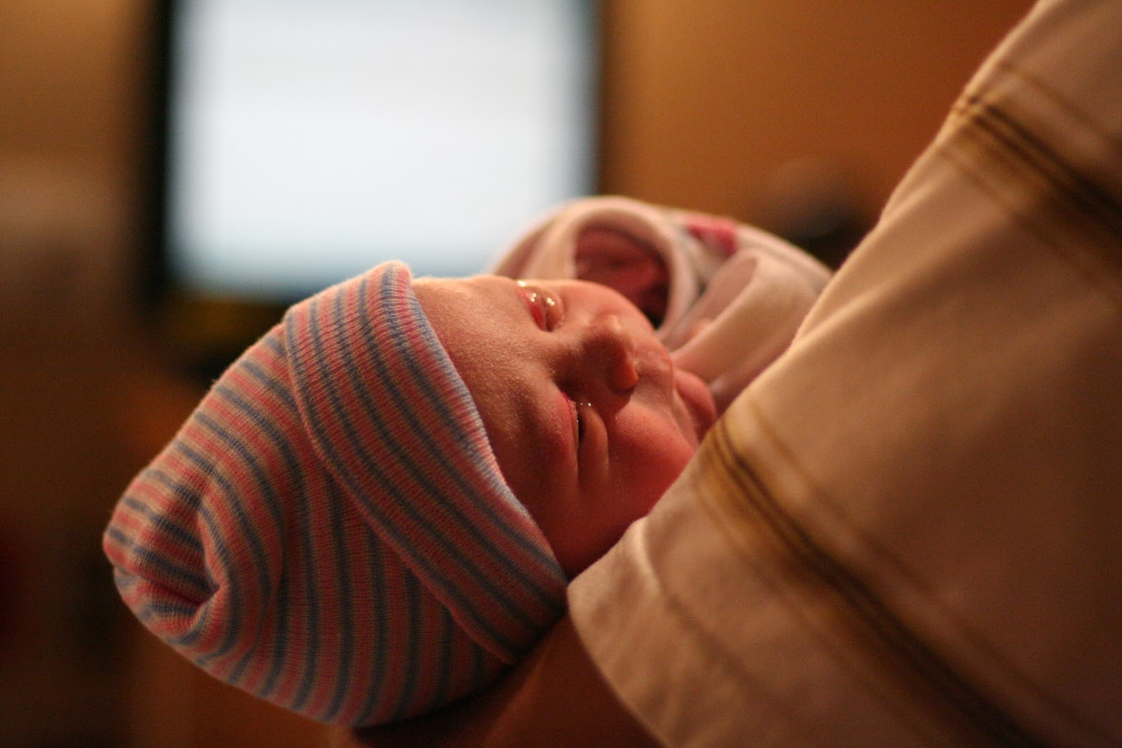 (she always loved) larking.: fly, little bird. // phoebe ruth