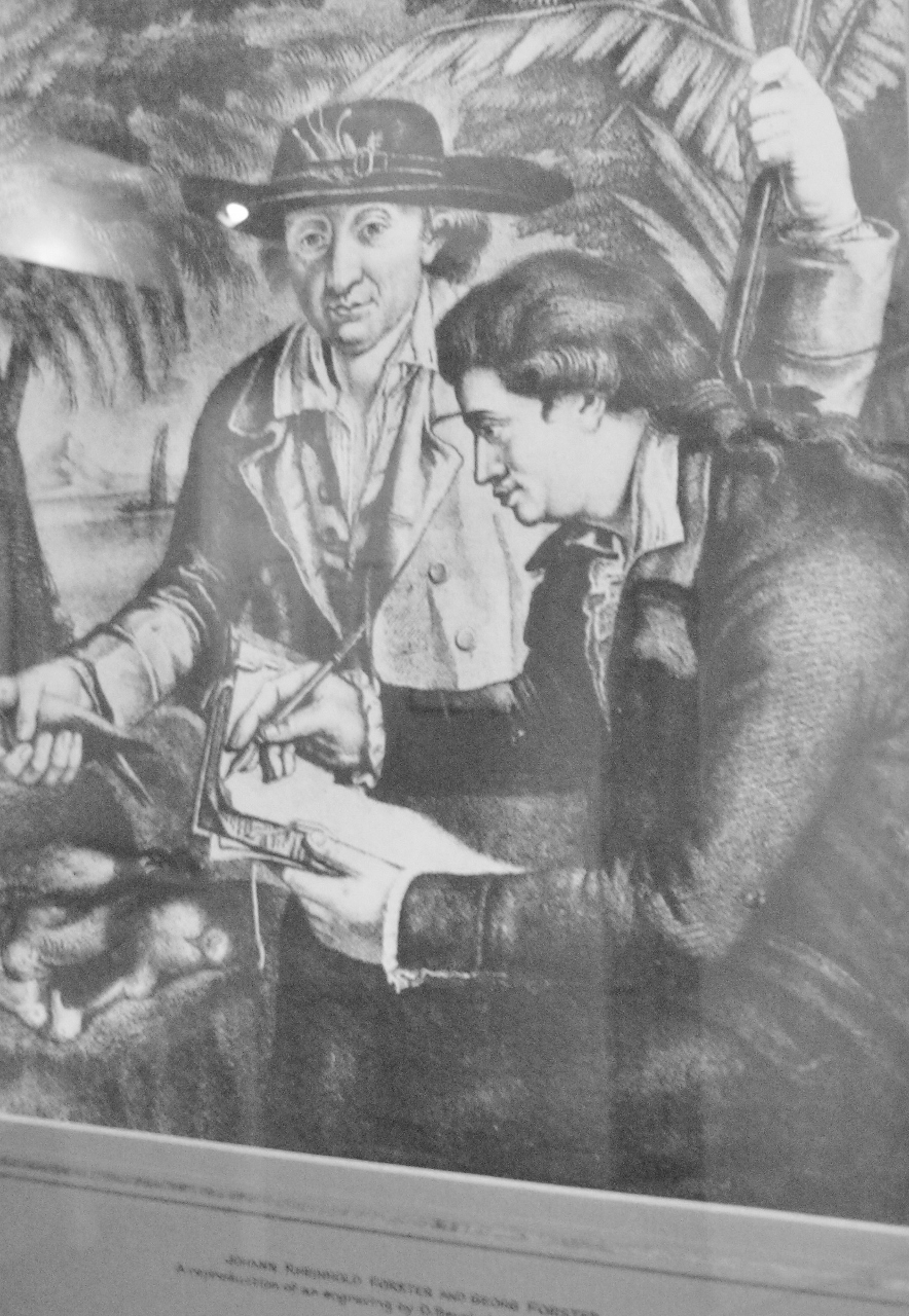 Exetereme blogging: Forster, Johann Reinhold and Georg