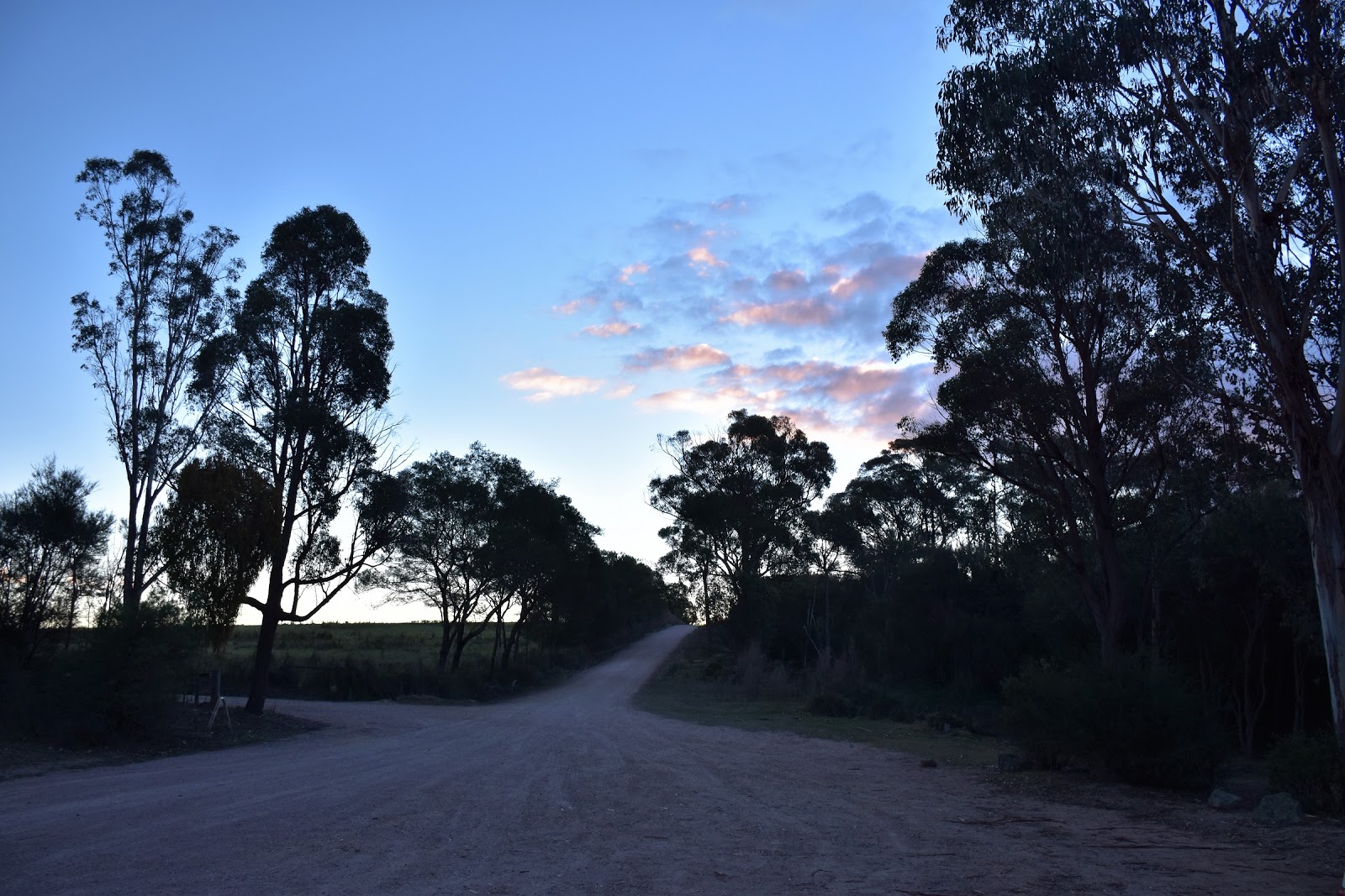 Goin' Feral One Day At A Time: Den of Nargun, Mitchell River National ...
