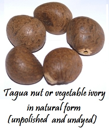 Exclusive Goddess -EcoJewelry: What is Tagua?