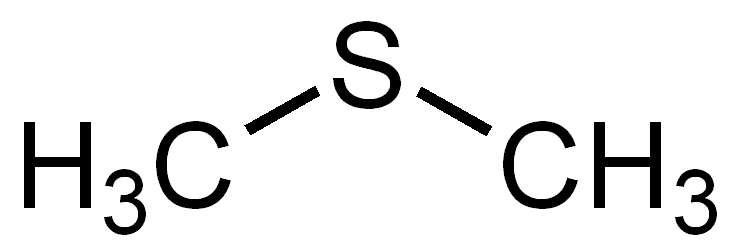 Terms of Enbeerment: Vocabulary Lesson – Dimethyl Sulfide (DMS)