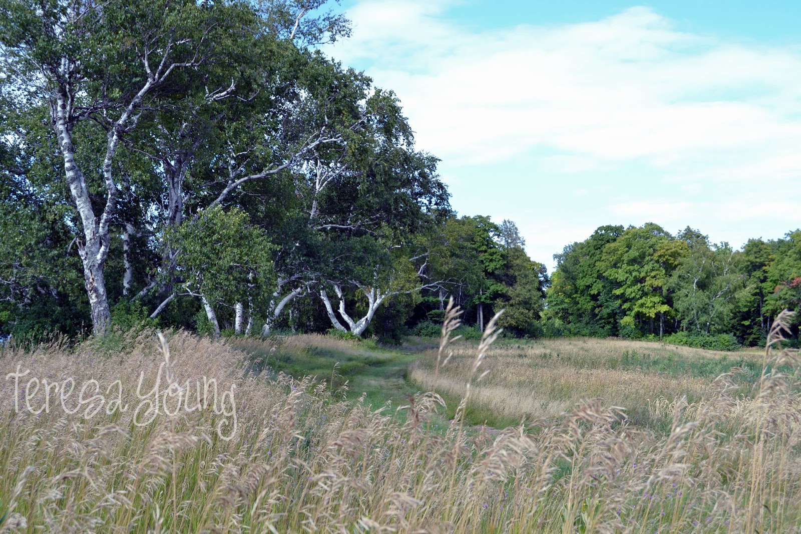 The Adventures of Teresa and Luna: Chateau Hutter