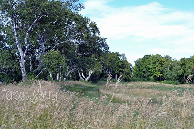 The Adventures of Teresa and Luna: Chateau Hutter