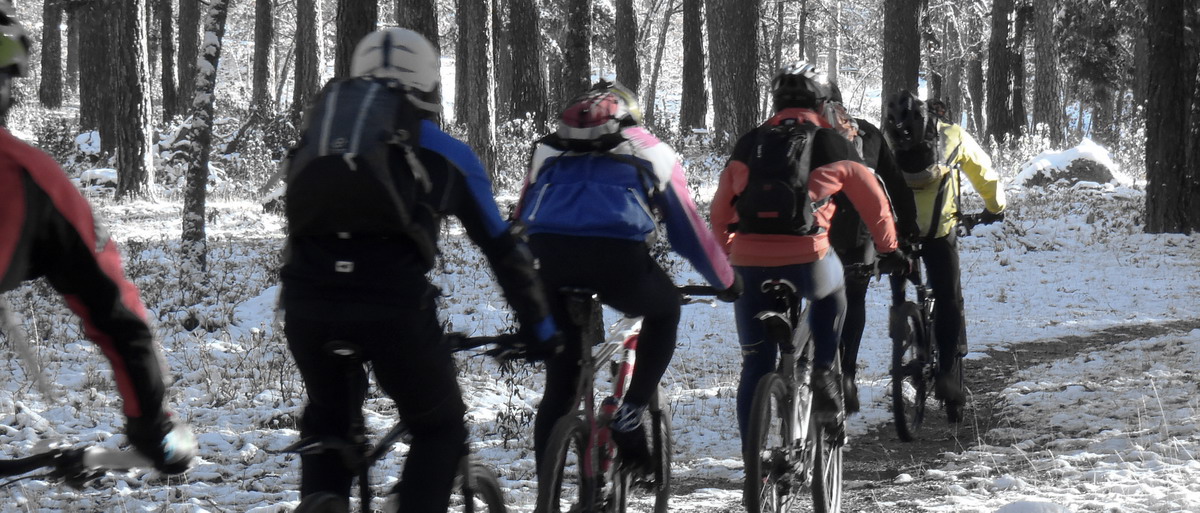 El Sherpa Loco: Más fresquitos que Walt Disney