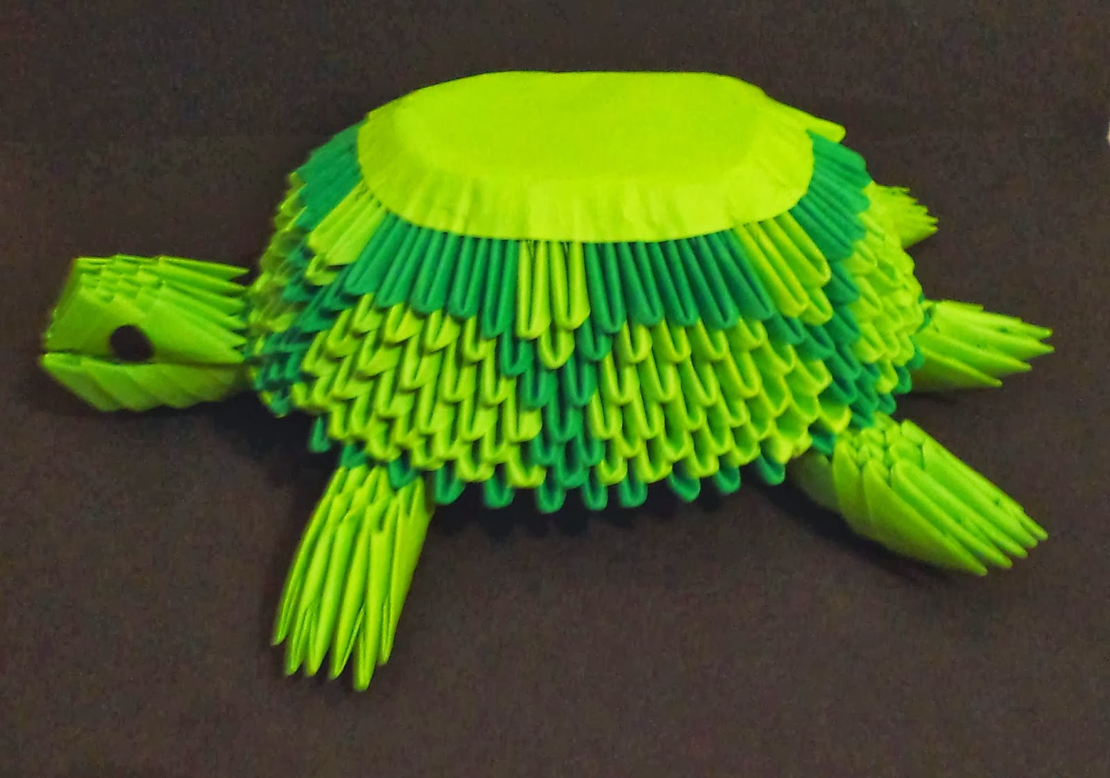 Origami Hobby: Turtle