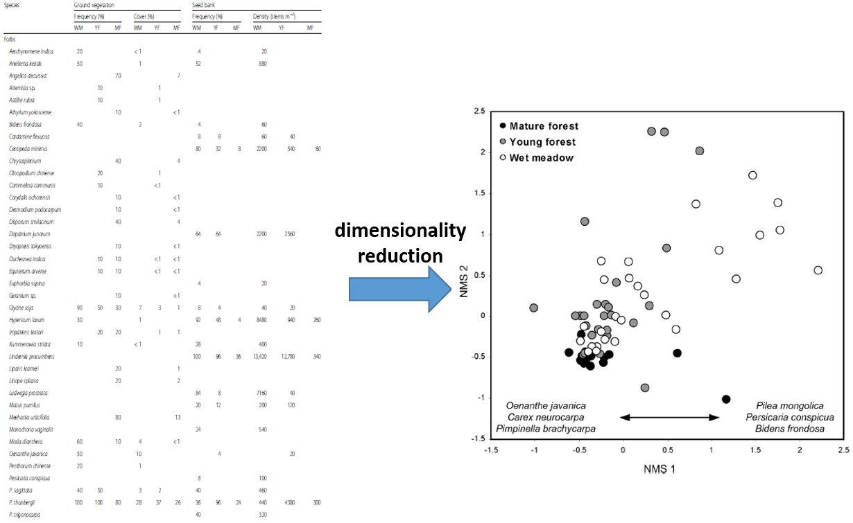 Dimensionality reduction and ordinations in ecology 1: introduction