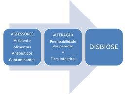 Disbiose intestinal e sua relação com intolerâncias e alergias ...