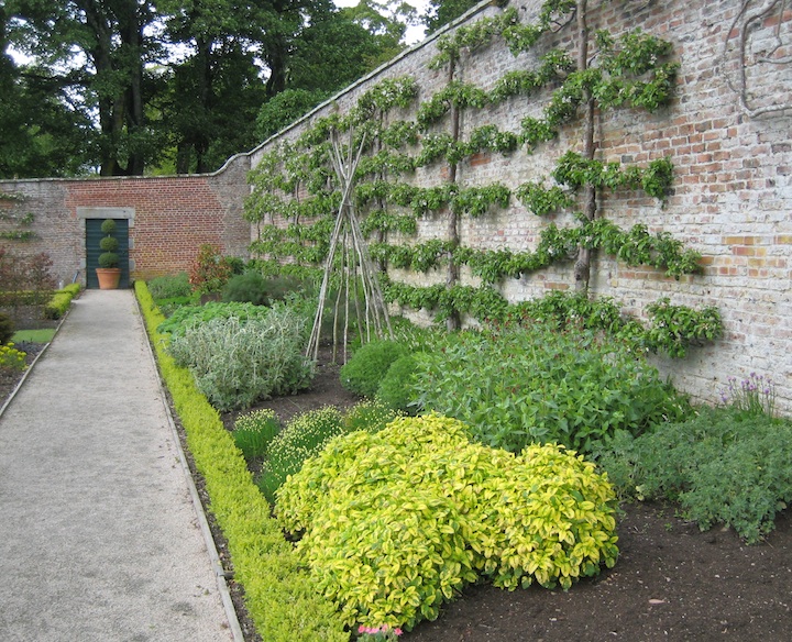 Cityscapes and Garden Gates: Garden Panache