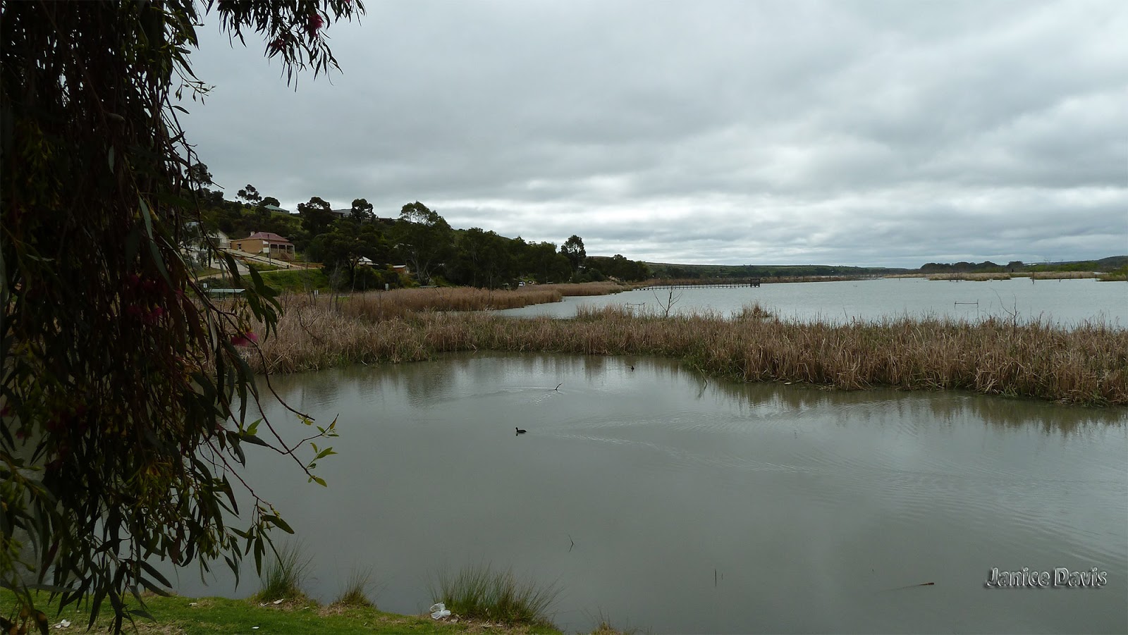 thoughts & happenings: Murray River at Mannum, South Australia