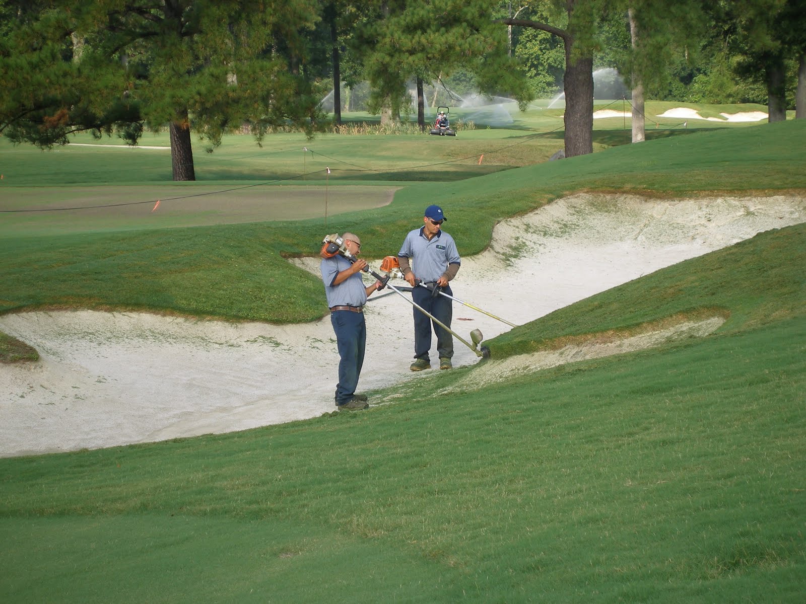 Seed Germination and Project Work ~ WILLOW OAKS COUNTRY CLUB