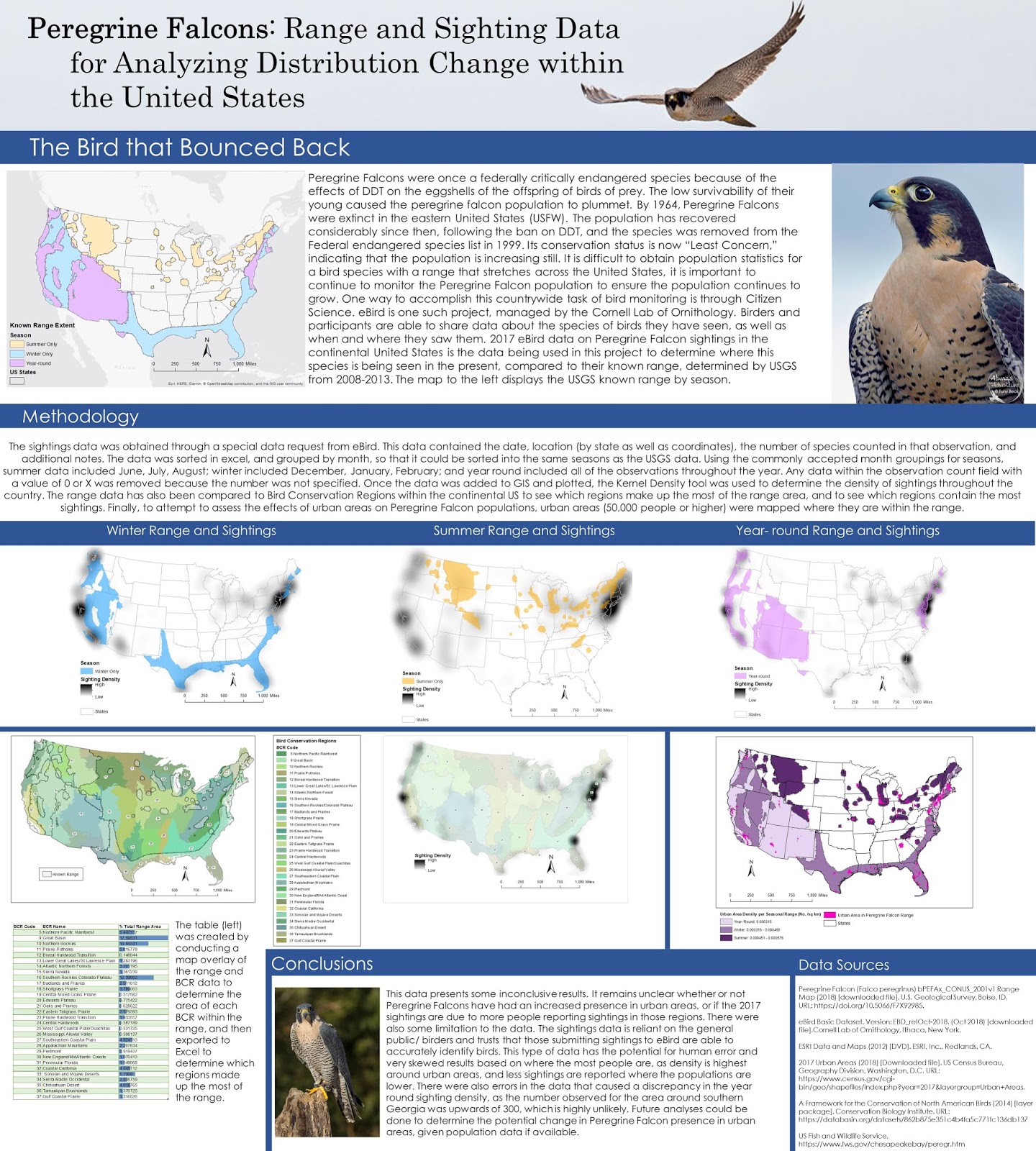 Peregrine Falcon Habitat and Migration