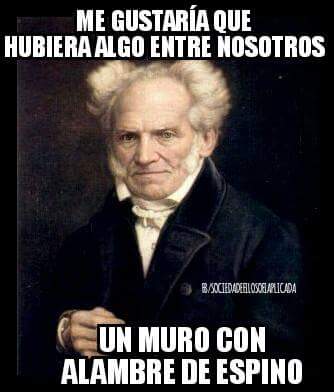 Schopenhauer y los memes | Andrés Botero Bernal