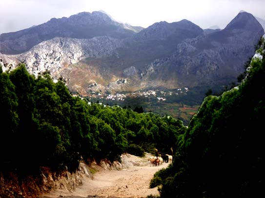 SENDERISMO EN EL RIF/RANDONNÉES DANS LE RIF: TETUÁN- JEBEL DERSA-SOROR ...