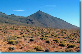 Paisajes para el cole: Zona tropical