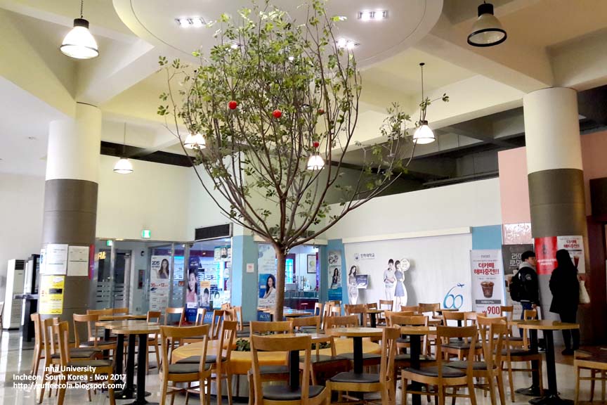 travel tales: South Korea: Incheon: Inha University