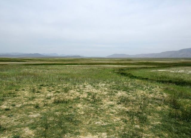 Foray into Geology : The Long Valley Caldera