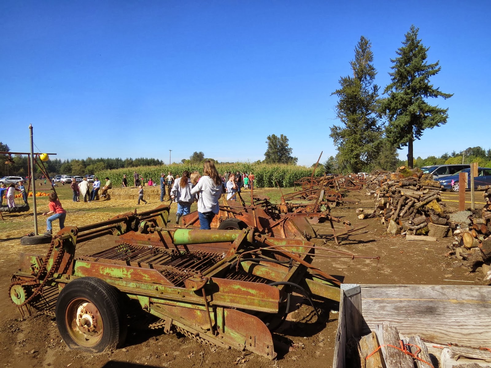 Photos by Jan: A Trip to Detering Orchards; in Harrisburg, Oregon