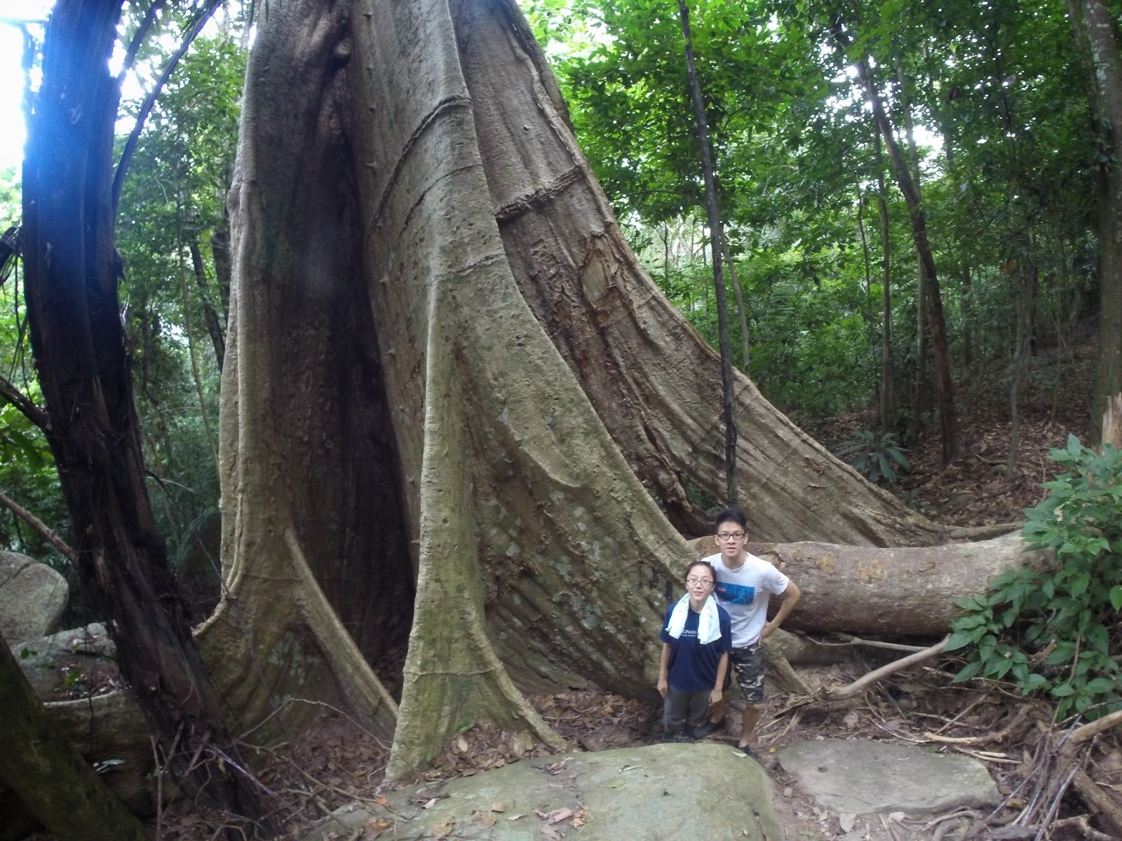 Hiking and Stuff: Gunung Datuk