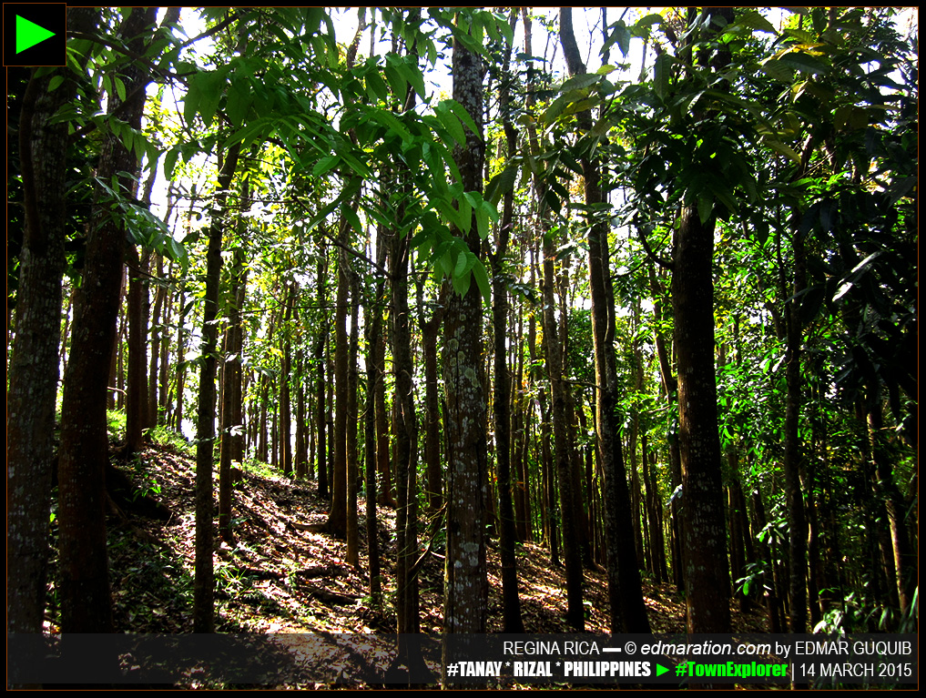 🇵🇭 TANAY • Handong: Vegetarianism, Nature and Religion Intertwined ...