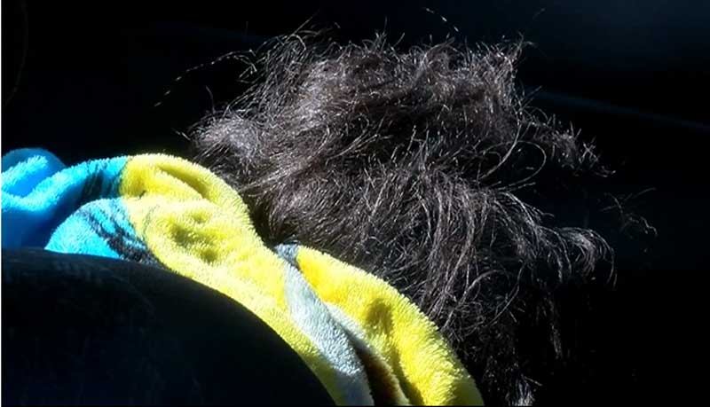 Nothing To Do With Arbroath: Police smashed car window after wig on ...