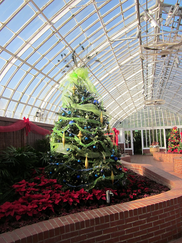 Garden Discoveries: Dancing Christmas Trees