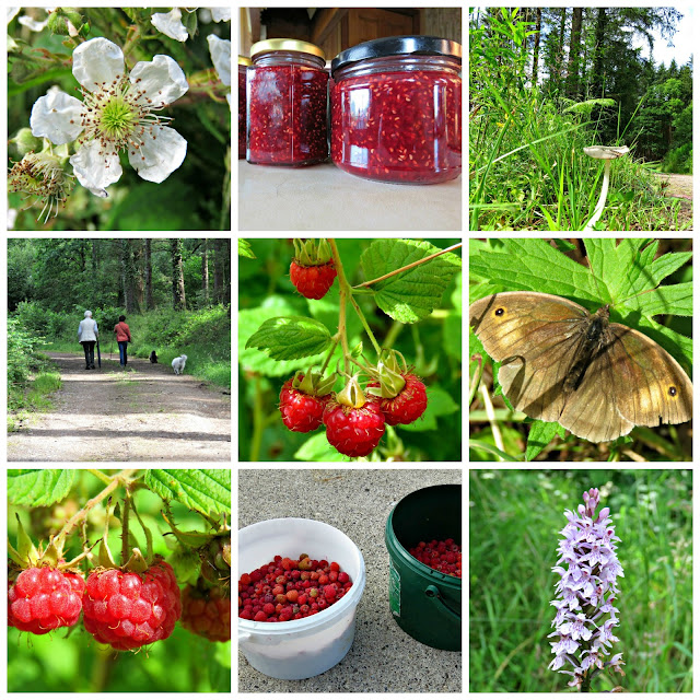 just saying ...: Wild Raspberry Jam ...
