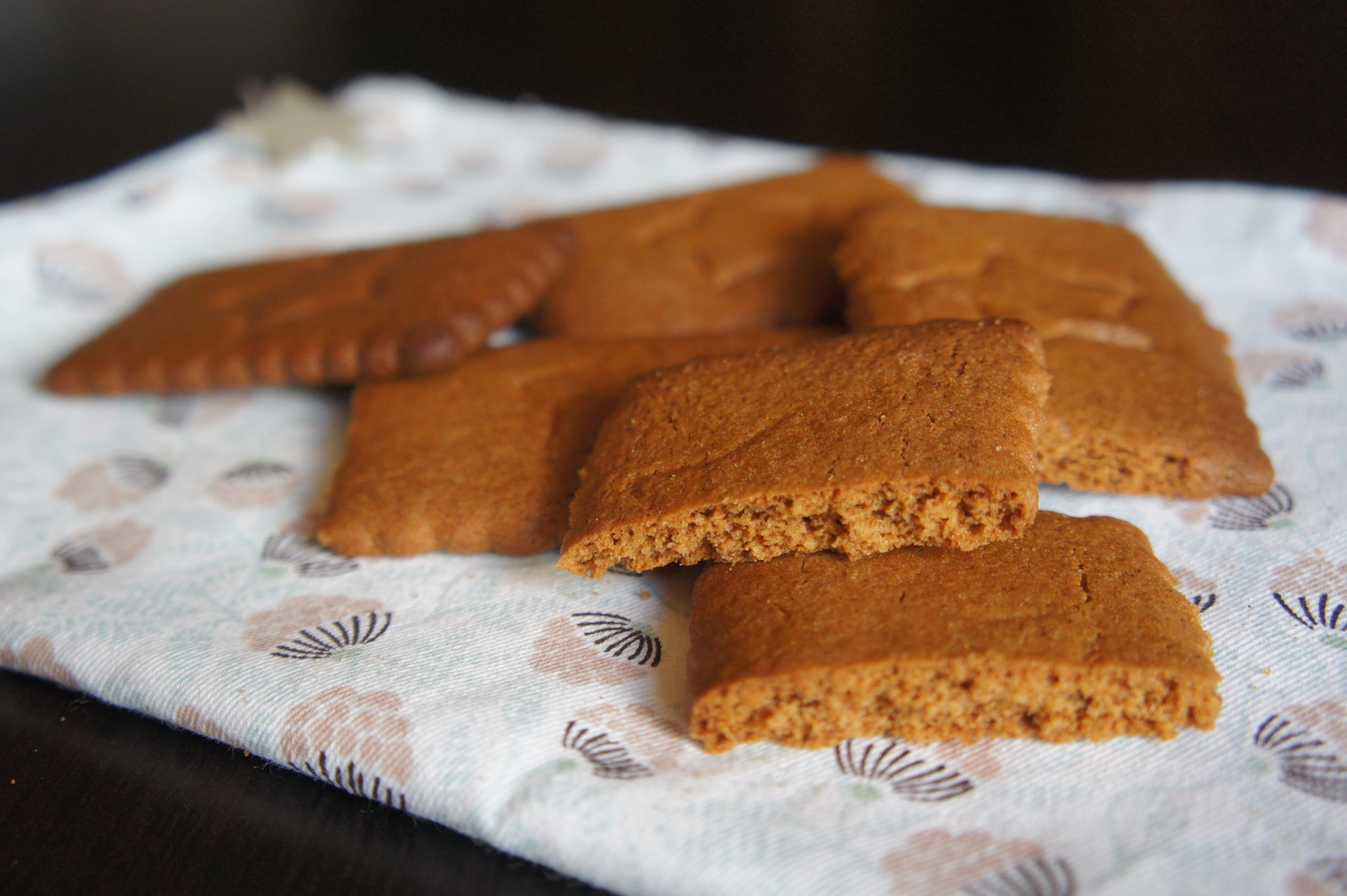 Biscuits croquants aux épices