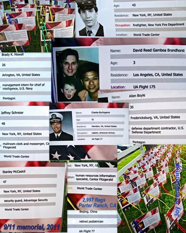 JOY's PHOTO COLLAGES: Photo COLLAGES by Joy Krauthammer