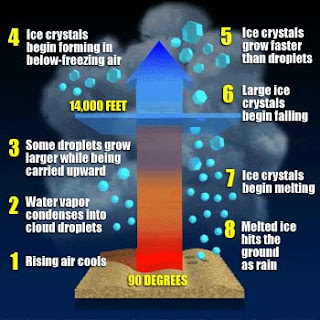 Marty's MesoAnalysis: Types of Precipitation