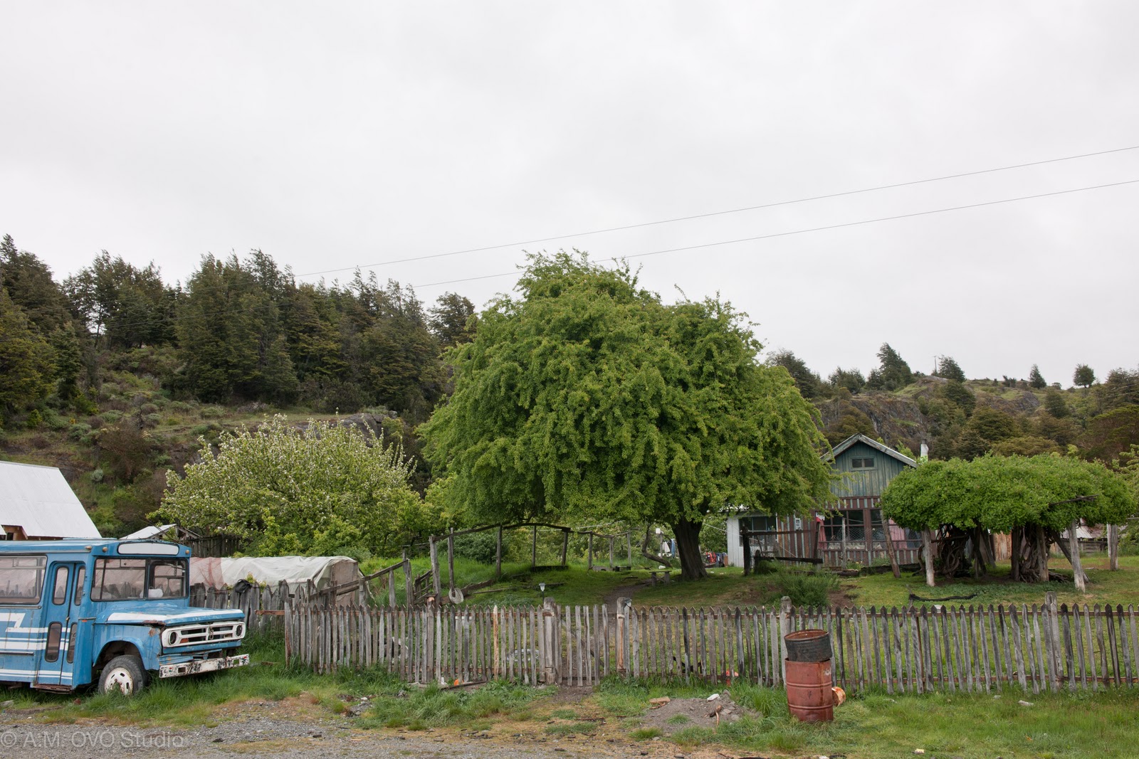 The Spotting Eye: Rural Chile: Puerto Río Tranquilo, XI Región Aysén ...